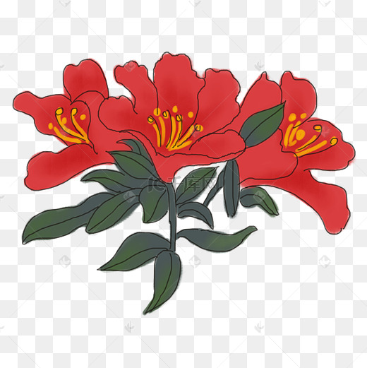 映山红图片-映山红图片素材免费下载-千库网