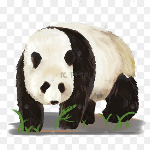 行走熊猫图片-行走熊猫图片素材免费下载-千库网