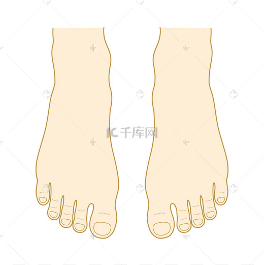 脚趾卡通图片-脚趾卡通图片素材免费下载-千库网