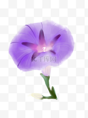 牵牛花商用元素素材图片免费下载-千库网