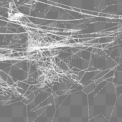 挣脱蛛网图片-挣脱蛛网图片素材免费下载-千库网