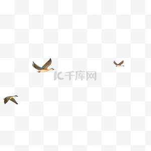 头像飞秋图片-头像飞秋图片素材免费下载-千库网