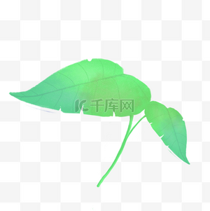 卡通绿色叶子PNG下载素材图片免费下载-千库网