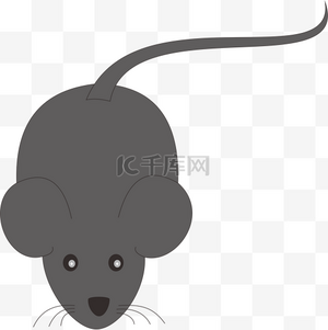 c57鼠矢量图图片-c57鼠矢量图图片素材免费下载-千库网