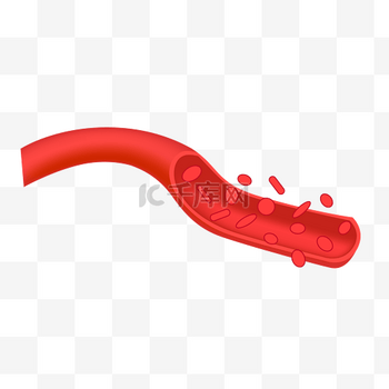 血管卡通图片-血管卡通素材-血管卡通模板图片下载-千库网