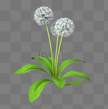 蒲公英矢量图_C4D_素材_图片-千库网