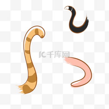 猫图片-猫素材-猫模板图片下载-千库网