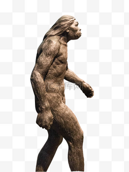 猿人图片_猿人素材-猿人图片大全-千库网