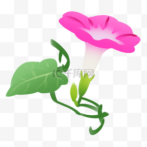 牵牛花植物素材图片免费下载-千库网
