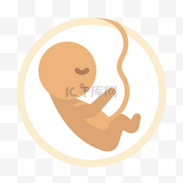 倒置胎儿图片_倒置胎儿素材-倒置胎儿图片大全-千库网