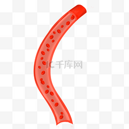 血管图片-血管图片素材免费下载-千库网