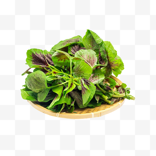 shangtang红苋菜图片-shangtang红苋菜图片素材免费下载-千库网