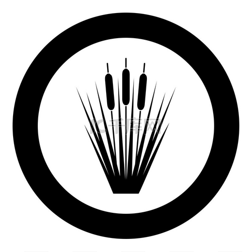 rush图片-rush图片素材免费下载-千库网