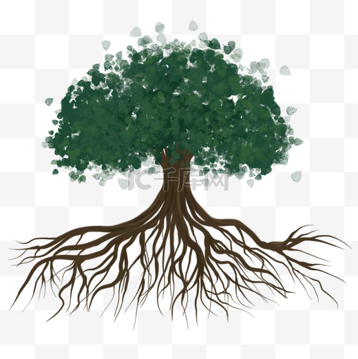 无树根图片-无树根图片素材免费下载-千库网