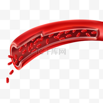 血管插图_PSD_素材_图片-千库网