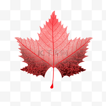 加拿大枫叶简约背景图片素材-加拿大枫叶简约背景模板图片下载-千库网