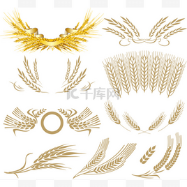 bugday图片-bugday素材-bugday模板图片下载-千库网