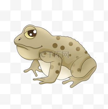 toad图片_toad素材-toad图片大全-千库网