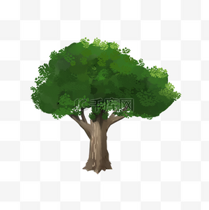 老树大树素材图片免费下载-千库网