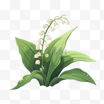 铃兰xiangao_PNG_素材_图片-千库网