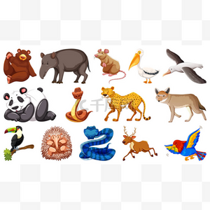 Set of different wild animals cartoon characters illustration素材图片免费下载-千库网