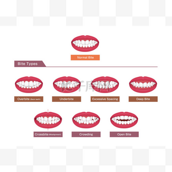 bite设计素材-bite模板设计-海报图片下载-千库网