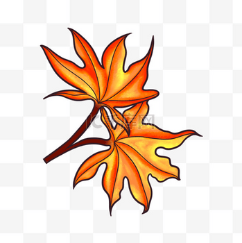 枫叶描图片-枫叶描素材-枫叶描模板图片下载-千库网