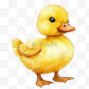 水彩鸭可爱剪贴画素材图片免费下载-千库网