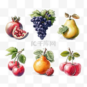 平面有机水果标签套装素材图片免费下载-千库网