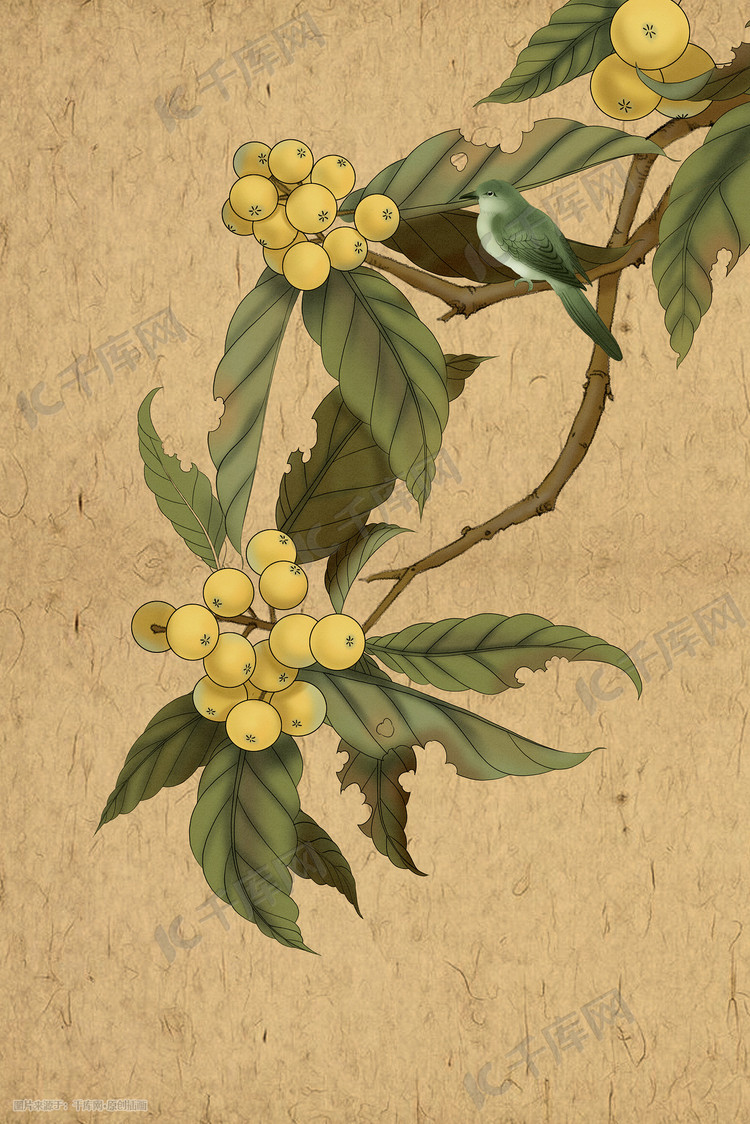 工笔花鸟国画中国风枇杷插画图片-千库网