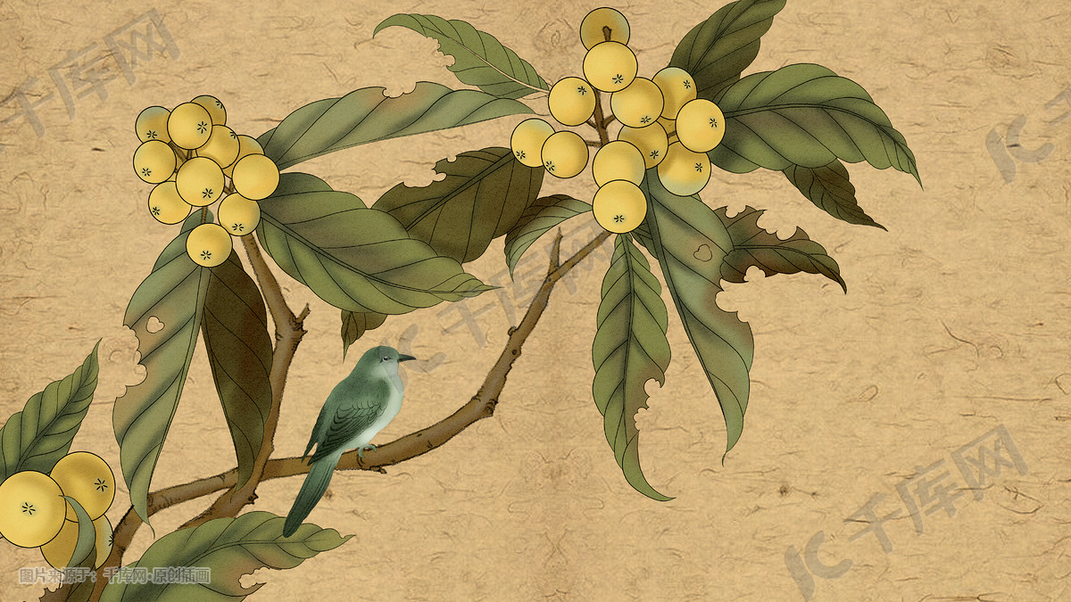 工笔花鸟国画中国风枇杷插画图片-千库网