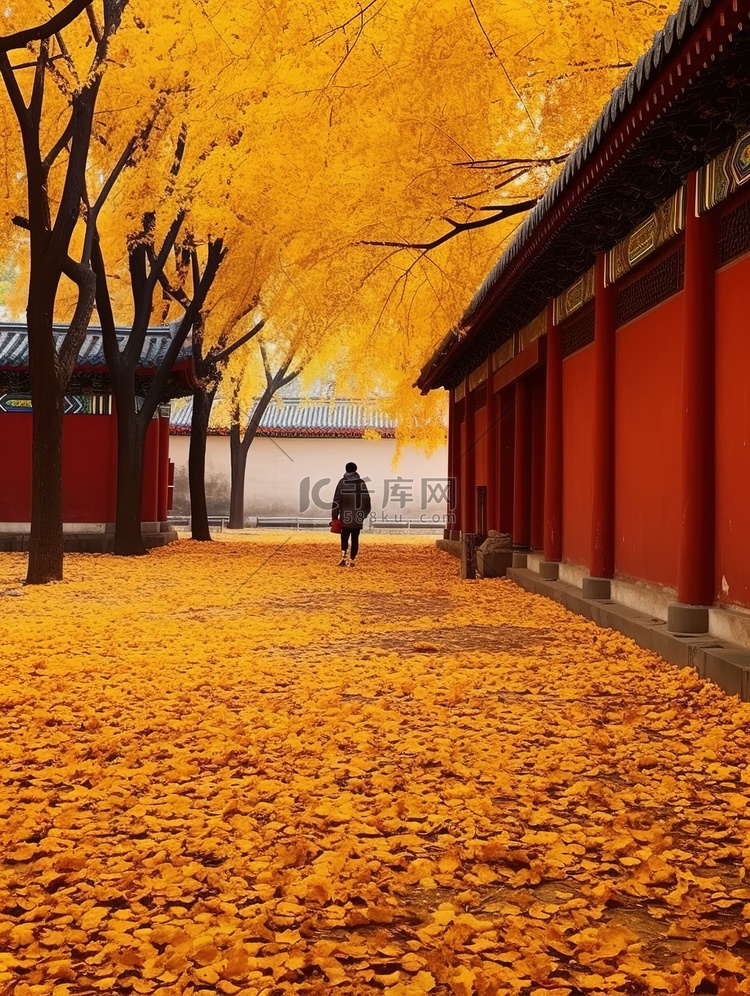 满城金色的银杏叶秋天11插画图片-千库网