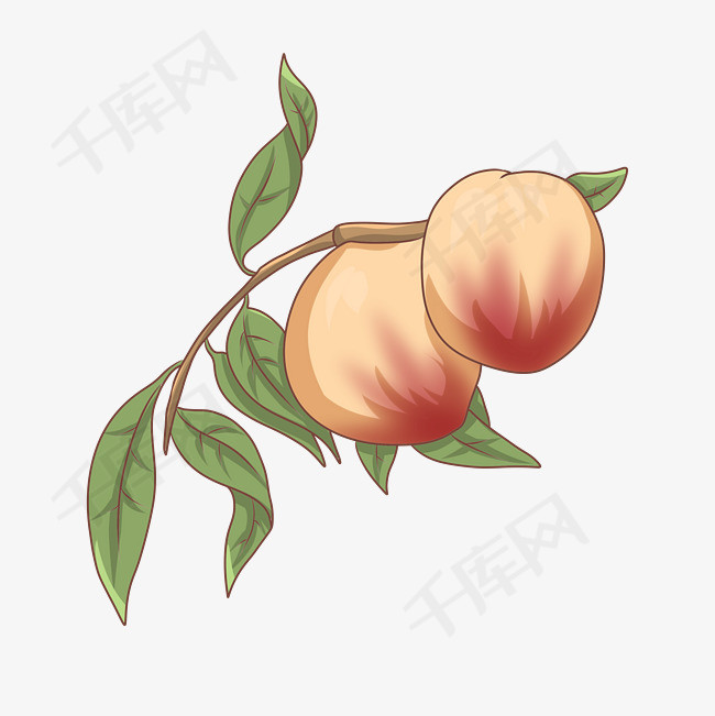手绘桃树桃子插画素材图片免费下载-千库网