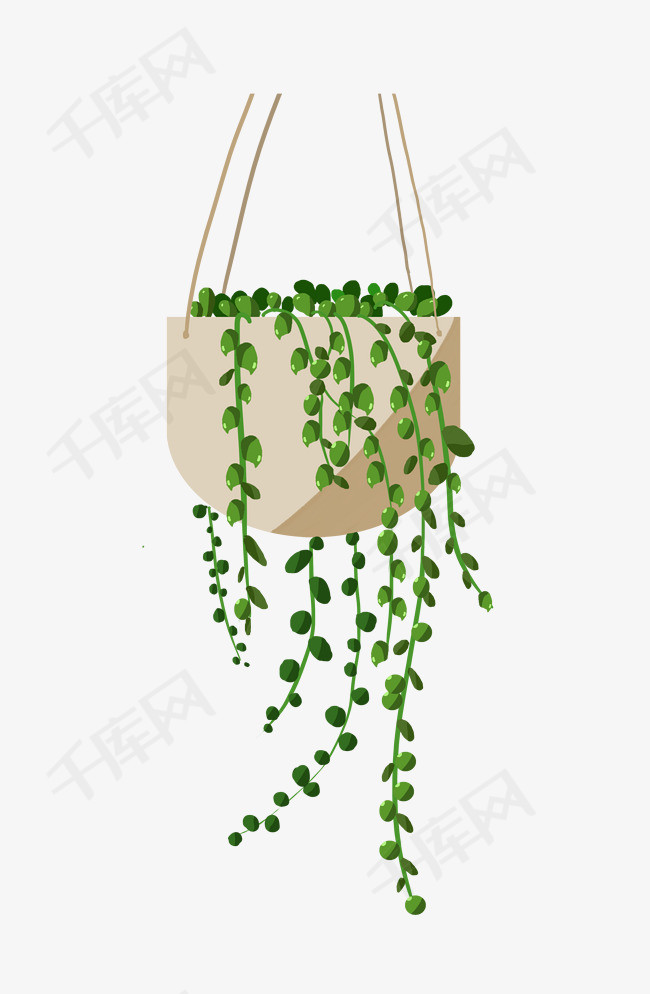 手绘情人泪盆栽插画素材图片免费下载-千库网