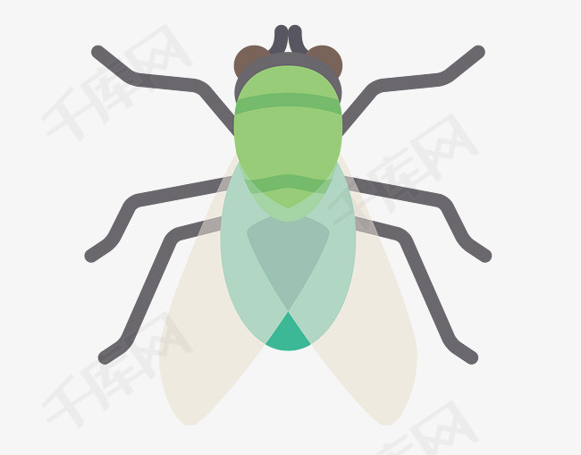 夏季动物苍蝇插图素材图片免费下载-千库网