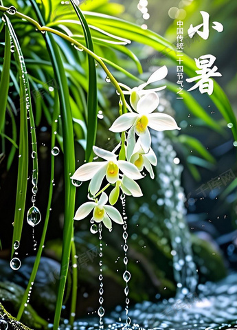 清凉夏日二十四节气小暑节气海报海报模板下载-千库网