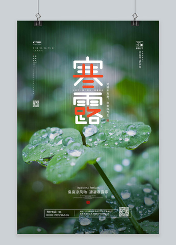 寒露节气露水绿色简约海报海报模板下载-千库网