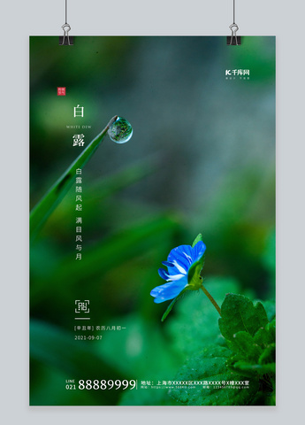 白露露珠绿色创意海报海报模板下载-千库网