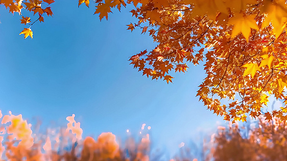 领口发黄的素材图片-领口发黄的素材-领口发黄的素材模板图片下载-千库网