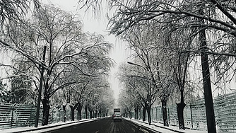 800图片_800素材-800图片大全-千库网