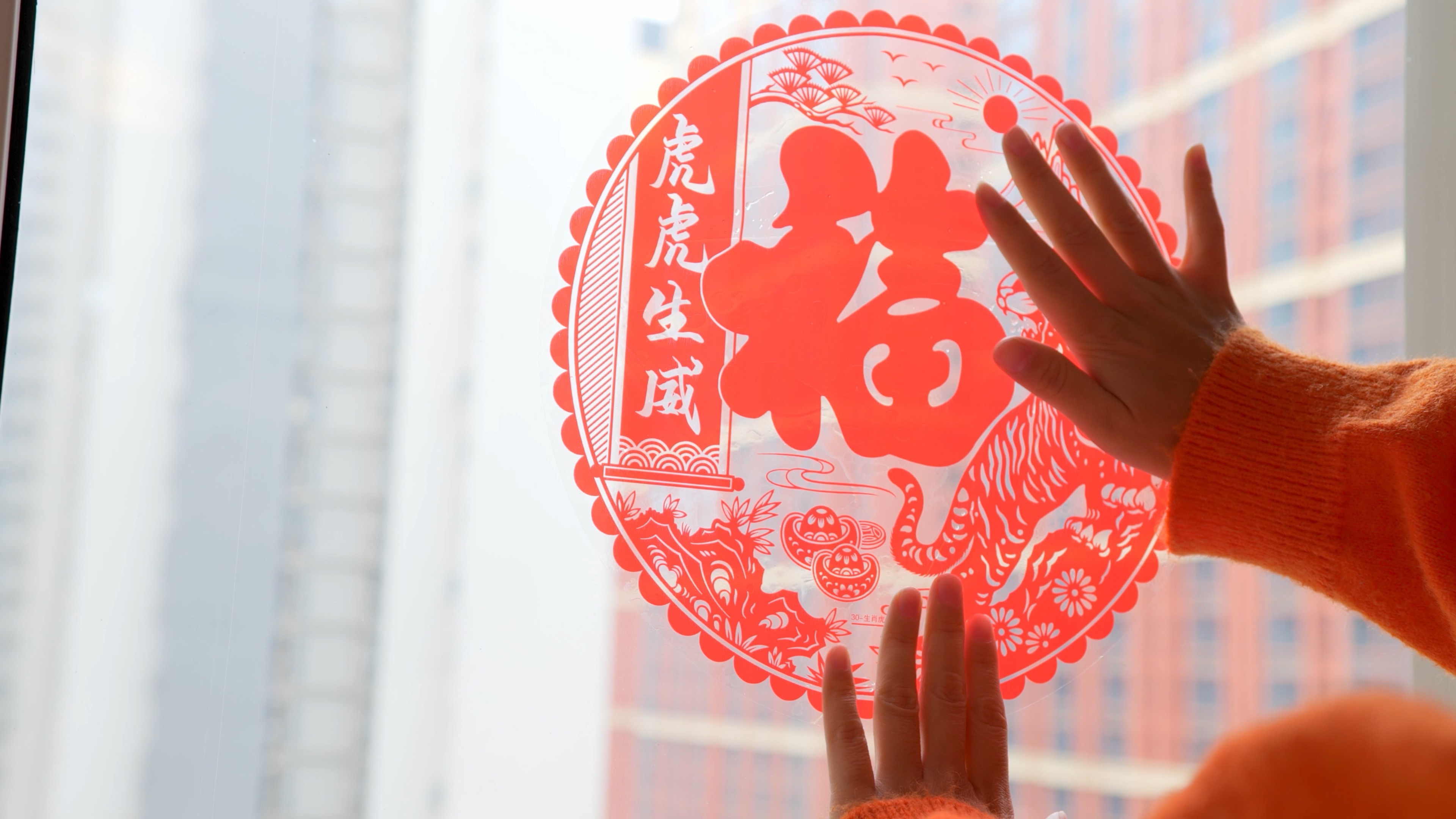 普什卡节日上的骆驼视频特效素材-千库网