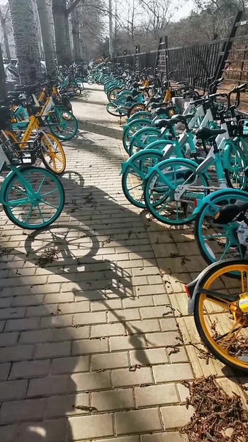 共享单车图片-共享单车素材-共享单车模板图片下载-千库网