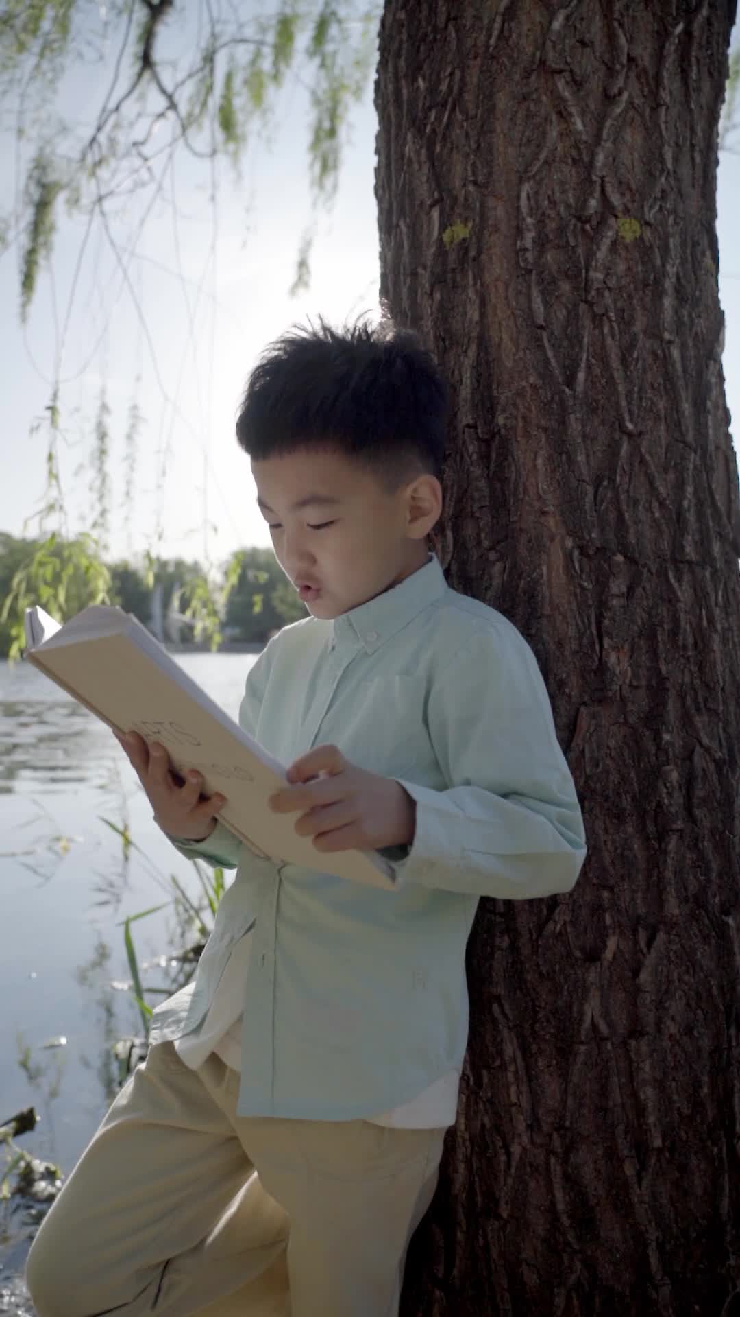 小男孩坐在户外看书13视频特效素材-千库网