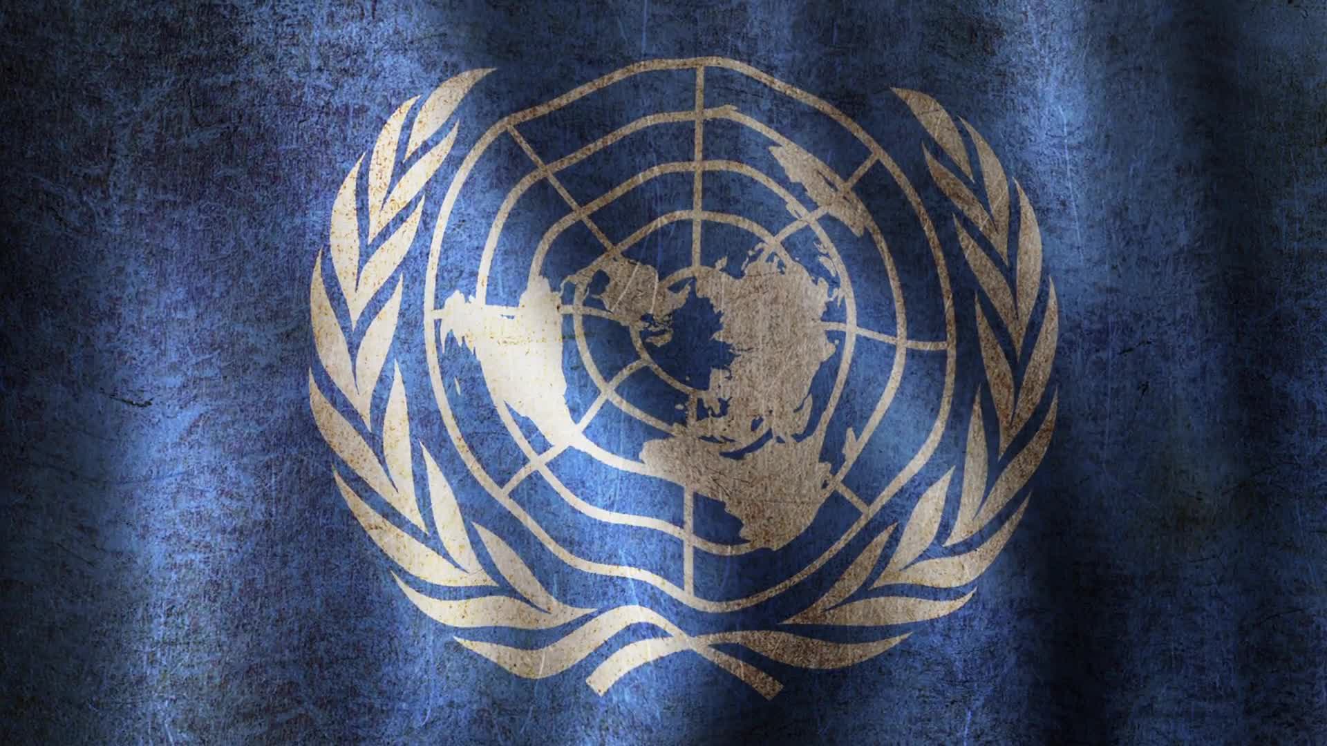 联合国国旗循环挥舞摇摆一个美丽的完成循环的联合国国家国旗动画使用官方旗帜设计的全数字渲染采用挥舞的全帧构图具有多种效果的设计以产生自然的循环 ...